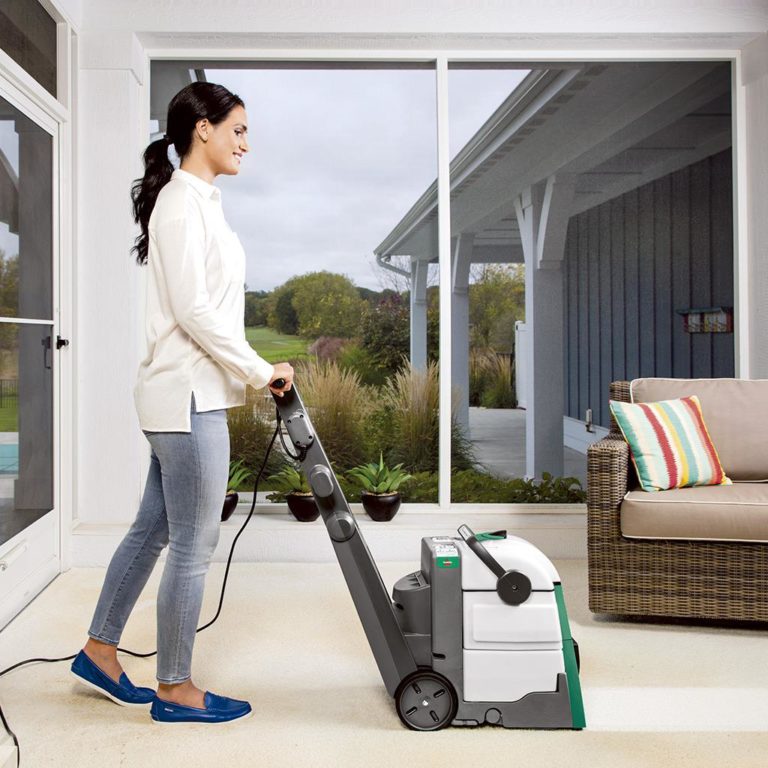 DIY Carpet Steam Cleaning: Pros and Cons of Hot Water Extraction | Pet ...